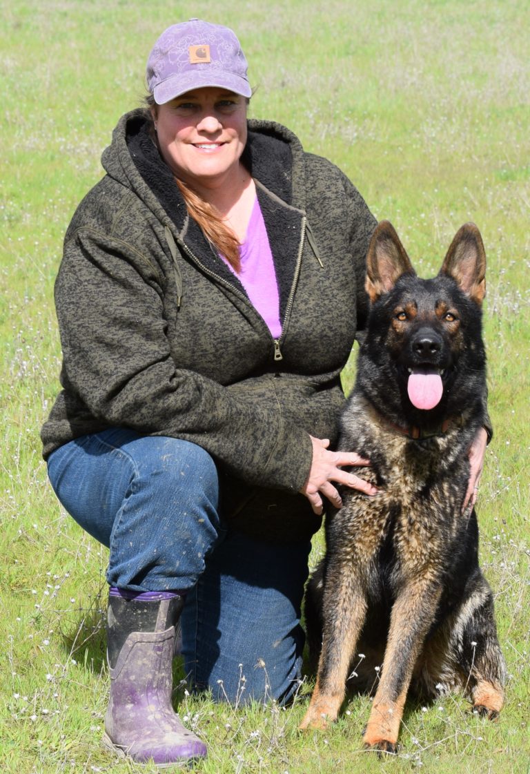 JustK9s | Kistha Haus German Shepherds and Pembroke Welsh Corgi